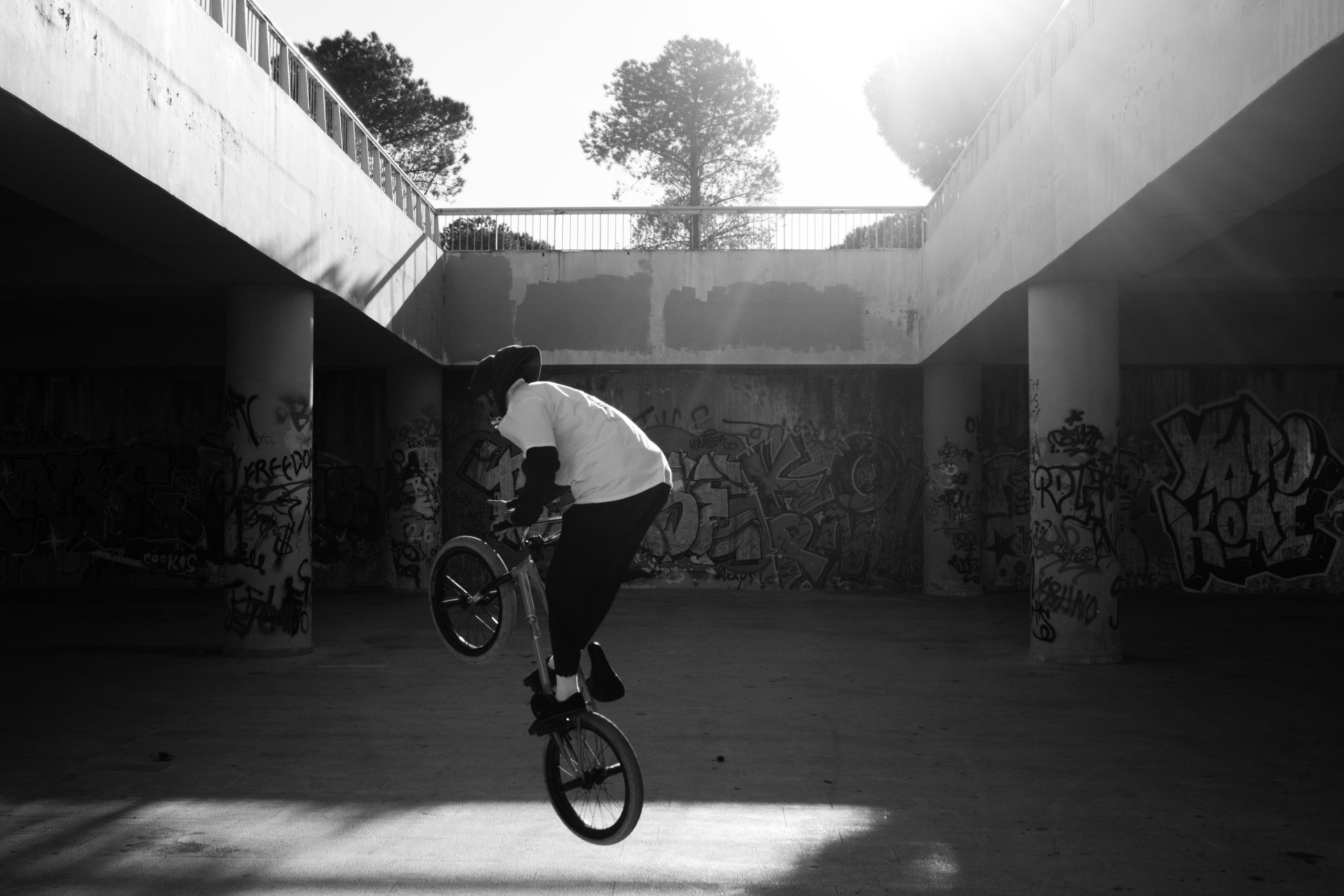 TheCoolguy Universe – The Coolguy universe